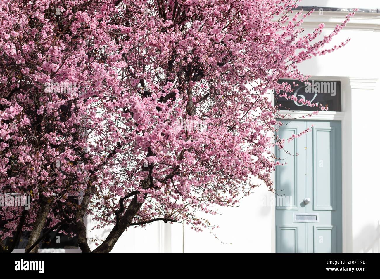 Portland road notting hill hi-res stock photography and images - Alamy