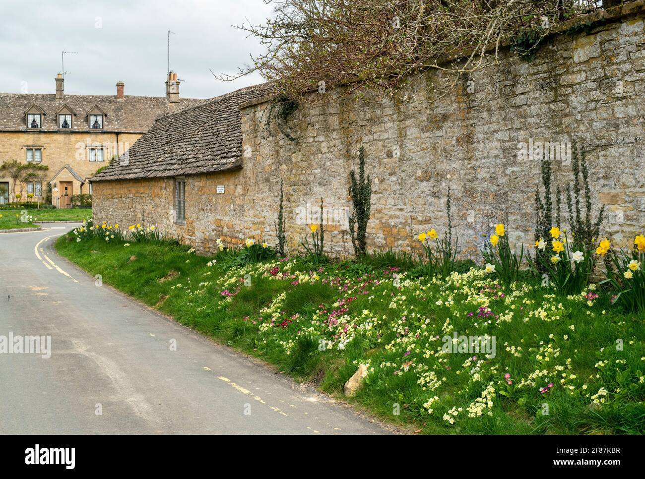 Spring flowers on a grass bank next to the road in the cotswold village ...