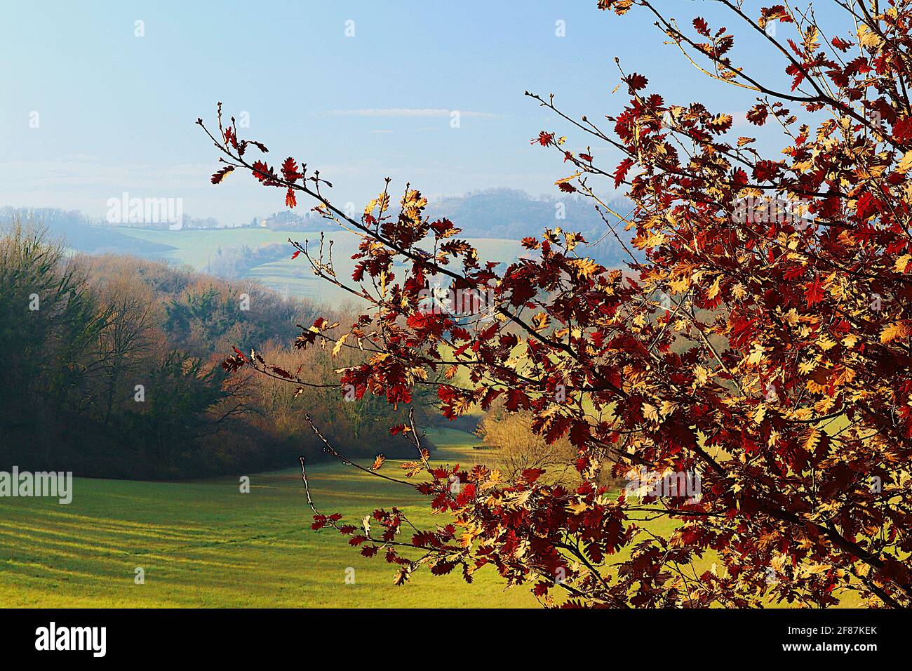 Brown landscape scene hi-res stock photography and images - Alamy