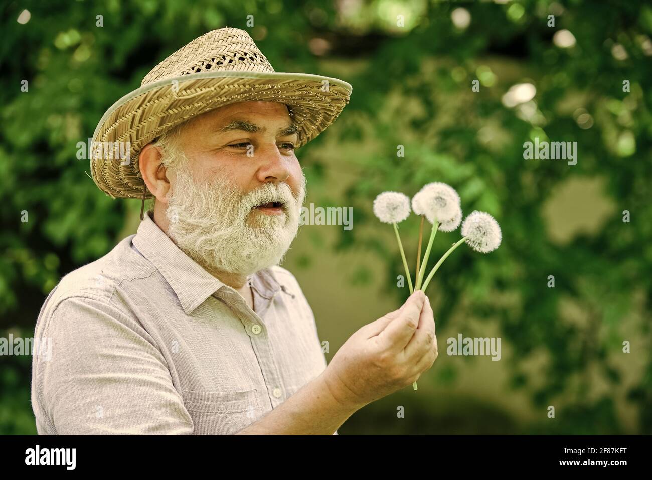 Dementia flower hi-res stock photography and images - Alamy