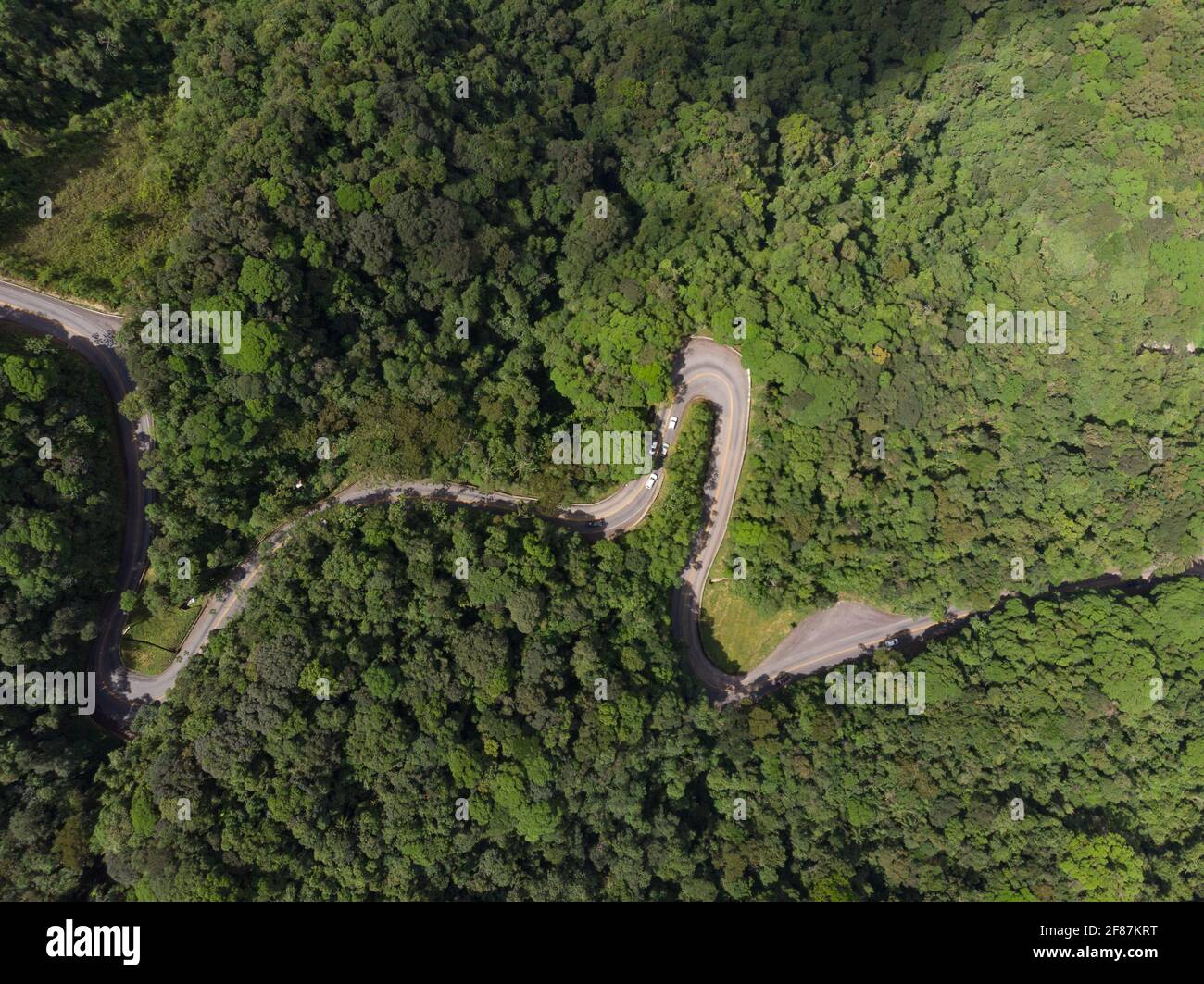 The sinuous Oswaldo Cruz Road at Serra do Mar State Park near Ubatuba ...