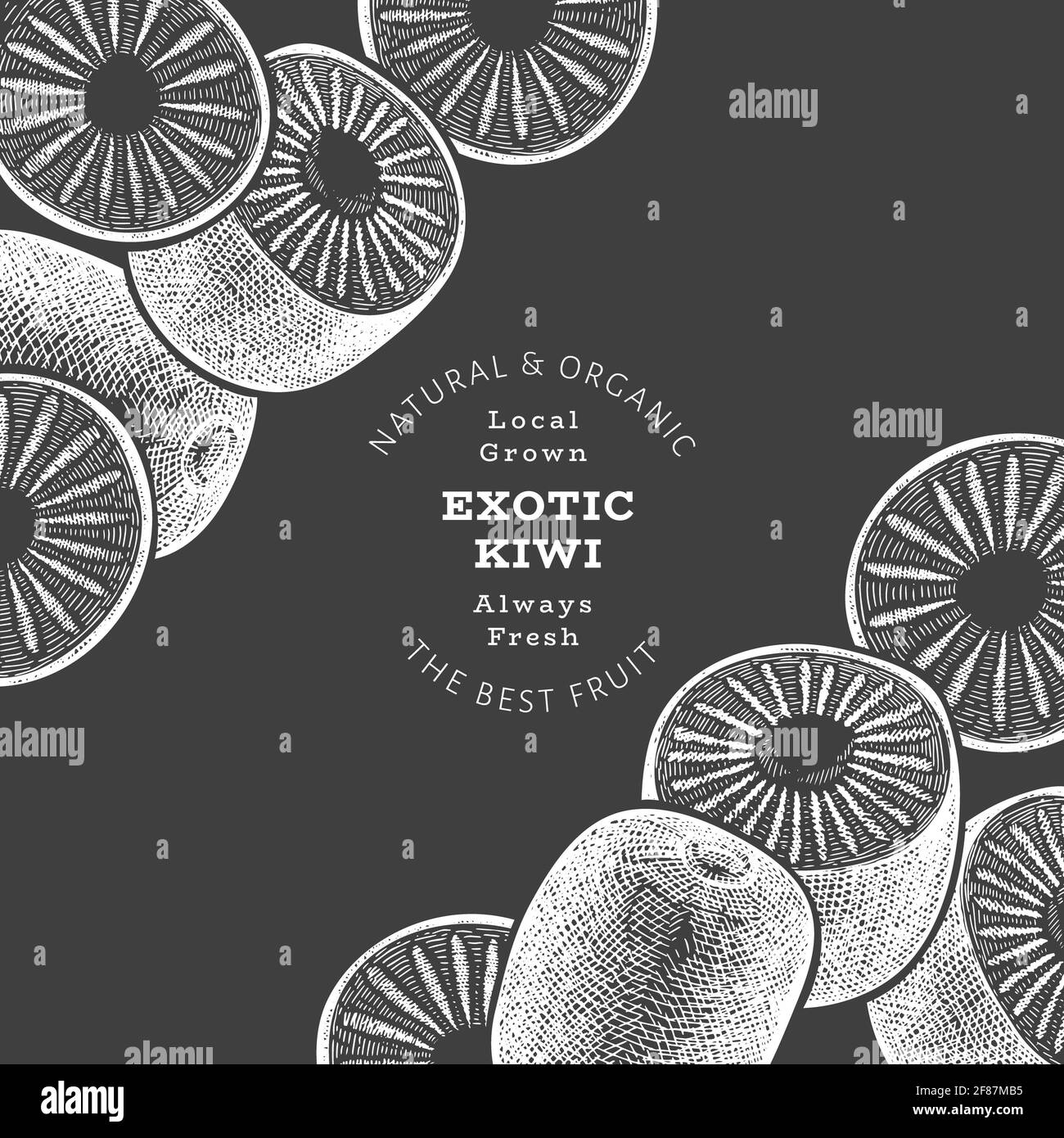 Hand drawn sketch style kiwi banner. Organic fresh fruit vector ...