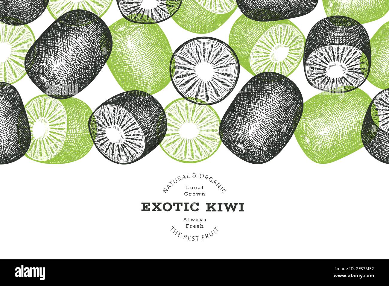 Hand drawn sketch style kiwi banner. Organic fresh fruit vector ...