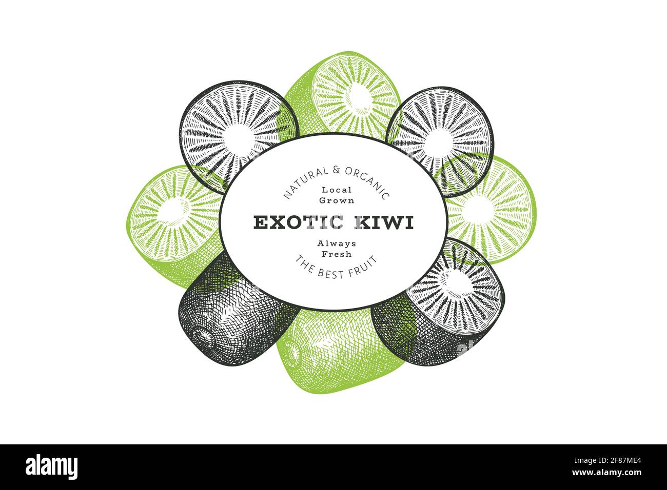 Hand drawn sketch style kiwi banner. Organic fresh fruit vector ...