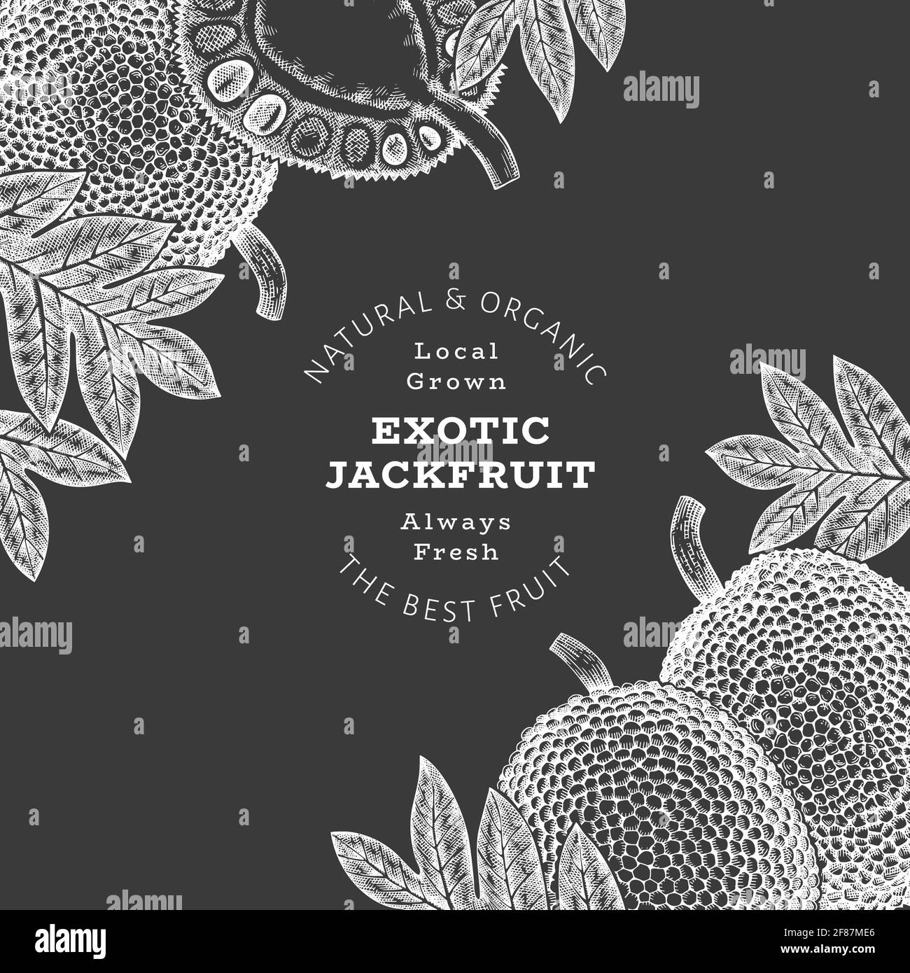 Hand drawn sketch style jackfruit banner. Organic fresh fruit vector illustration on chalk board ...
