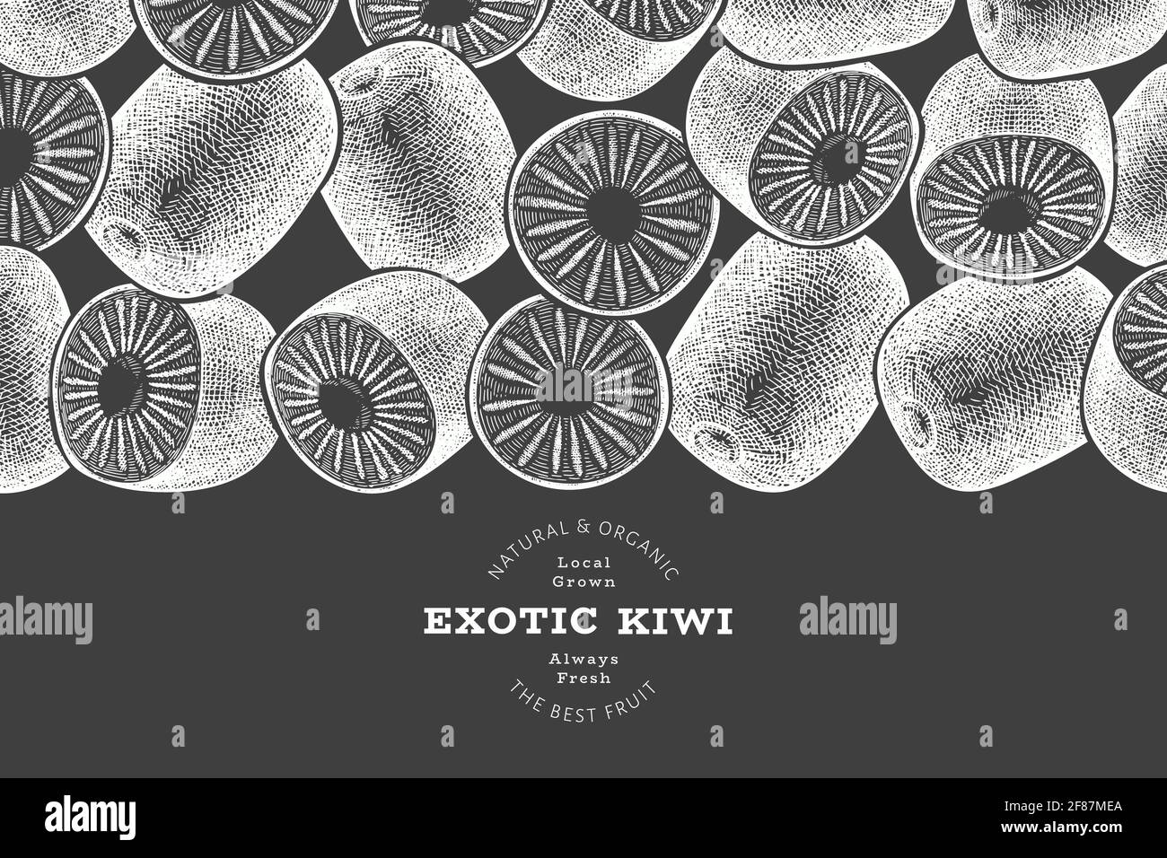 Hand drawn sketch style kiwi banner. Organic fresh fruit vector ...