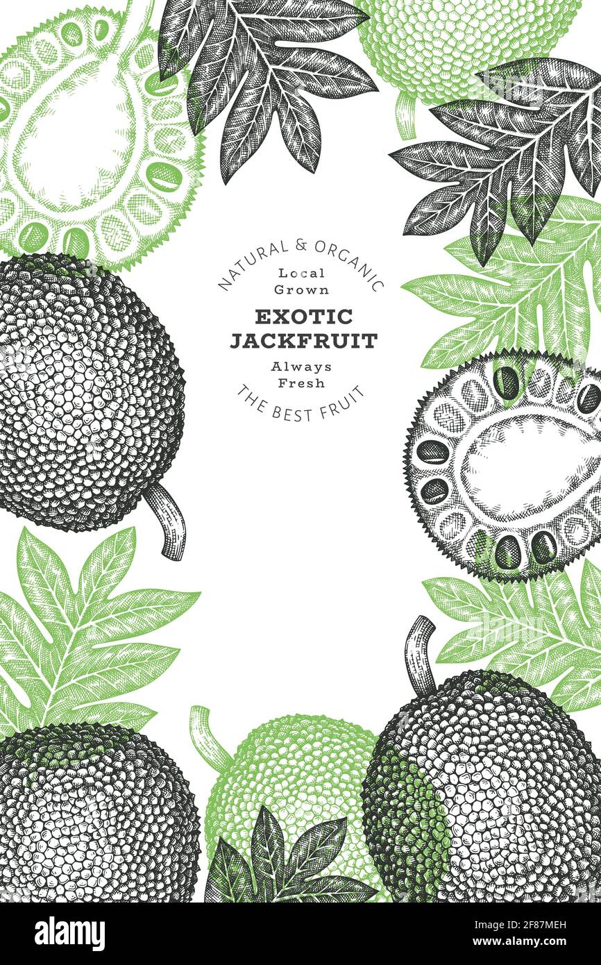Hand drawn sketch style jackfruit banner. Organic fresh fruit vector ...
