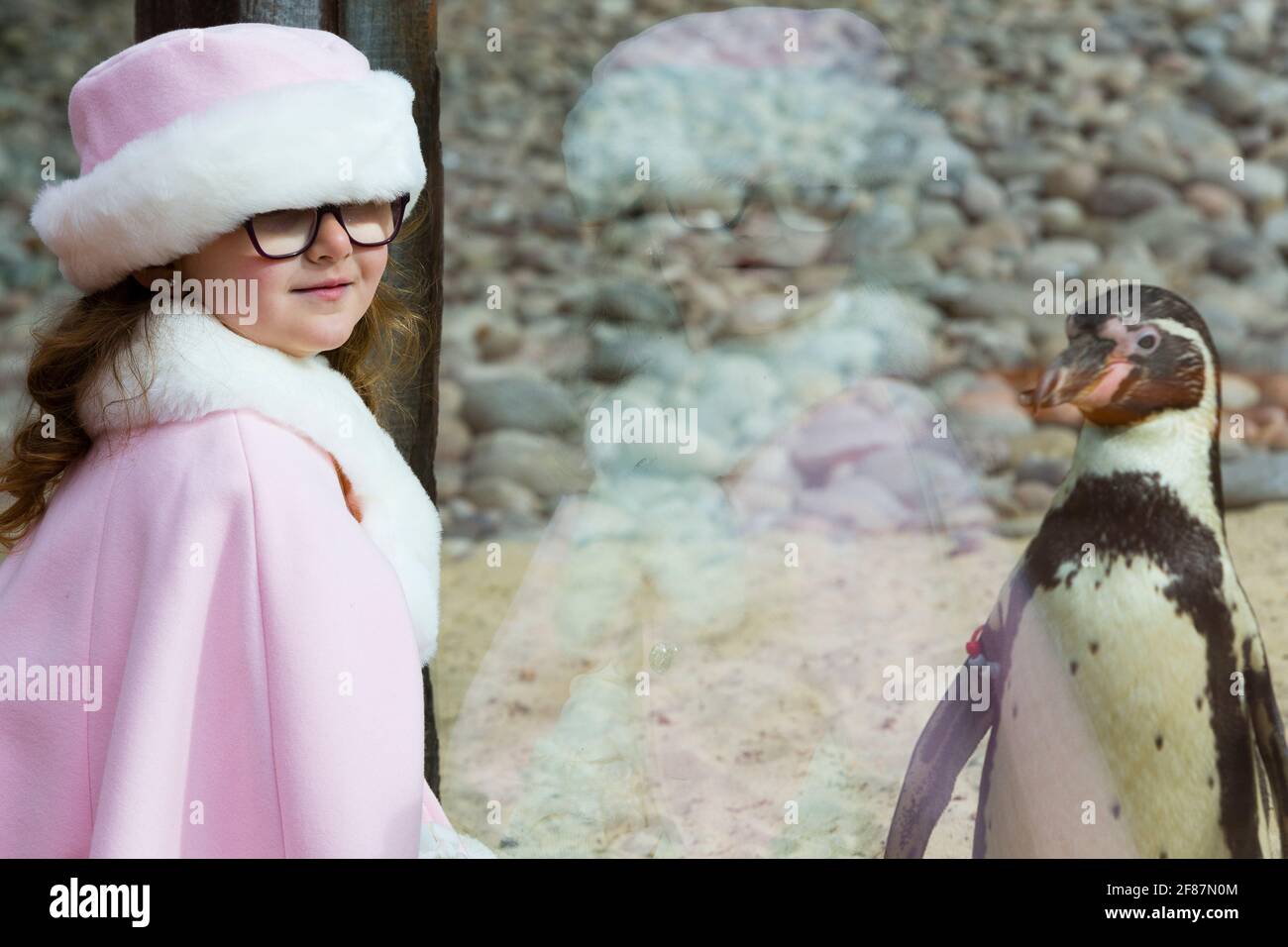 Reptile house london zoo hi-res stock photography and images - Alamy