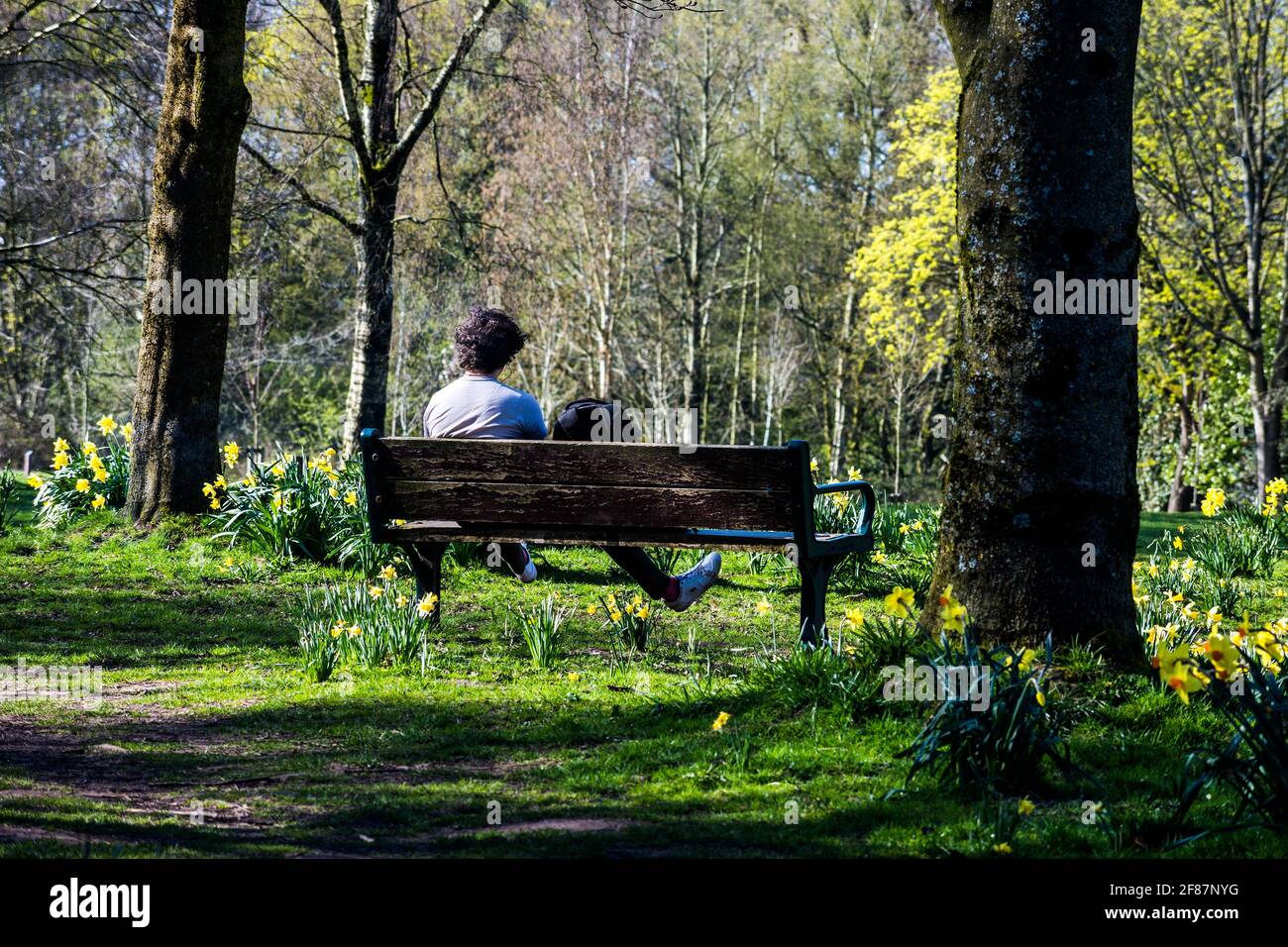 Worden park leyland hi-res stock photography and images - Alamy