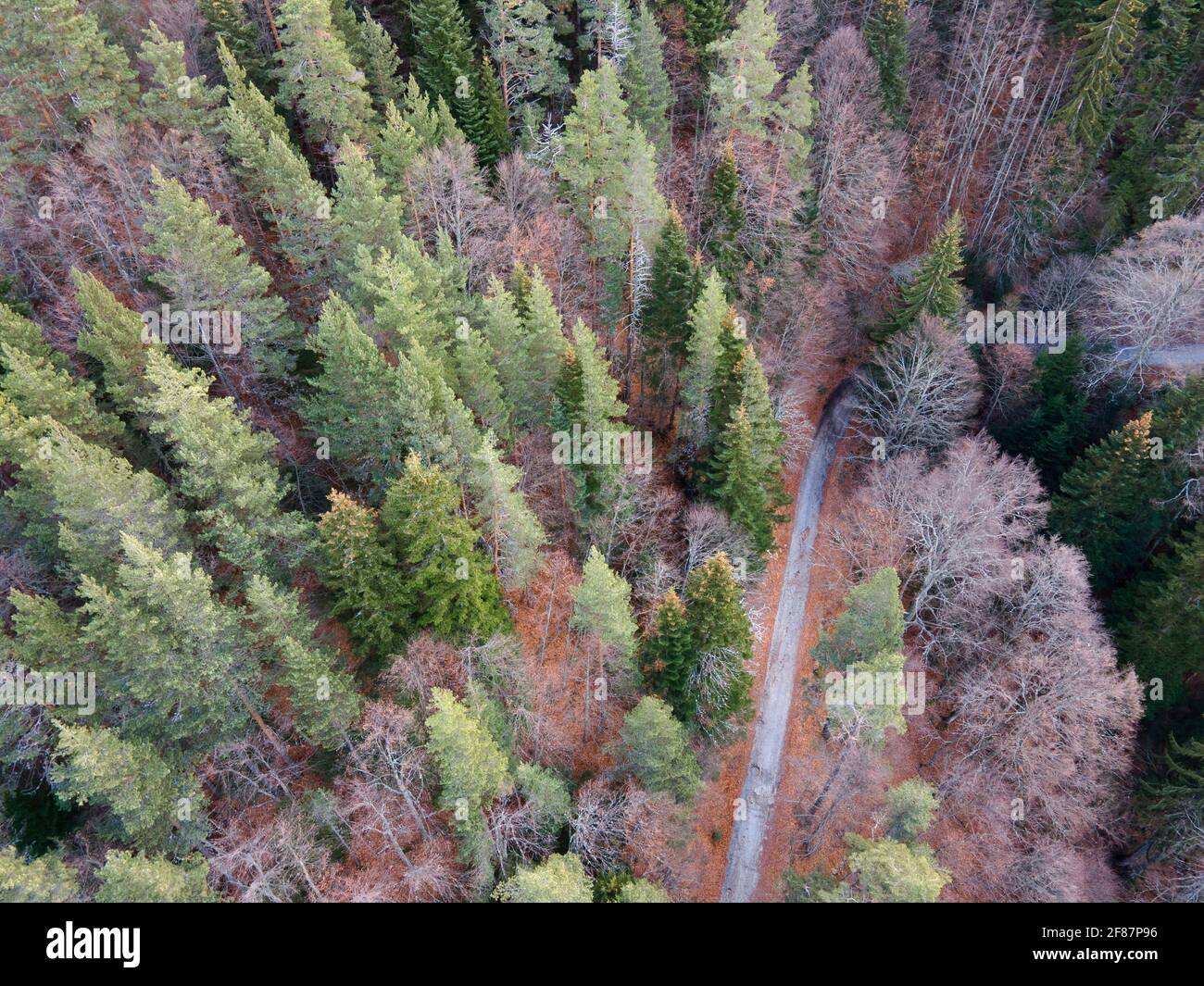 Aerial view of Pirin Mountain at Popina Laka region near town of ...