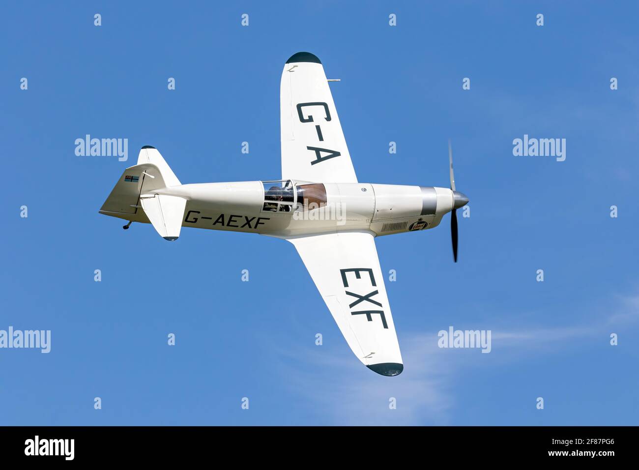 Mew gull airplane hi-res stock photography and images - Alamy