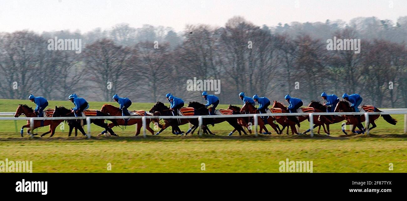 Warren hill, newmarket hi-res stock photography and images - Alamy