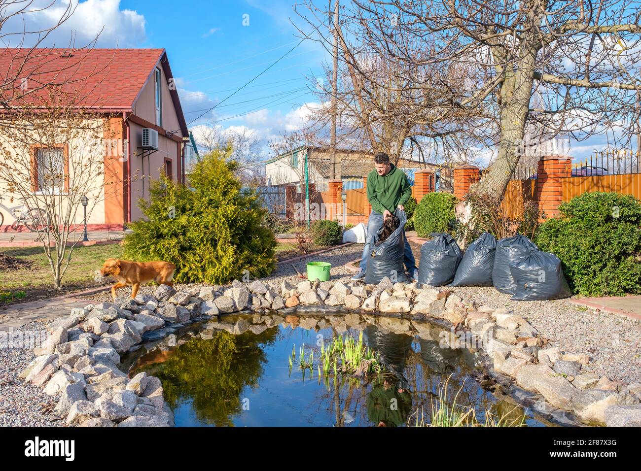 man cleans a garden pond from falling leaves and places them in a trash ...