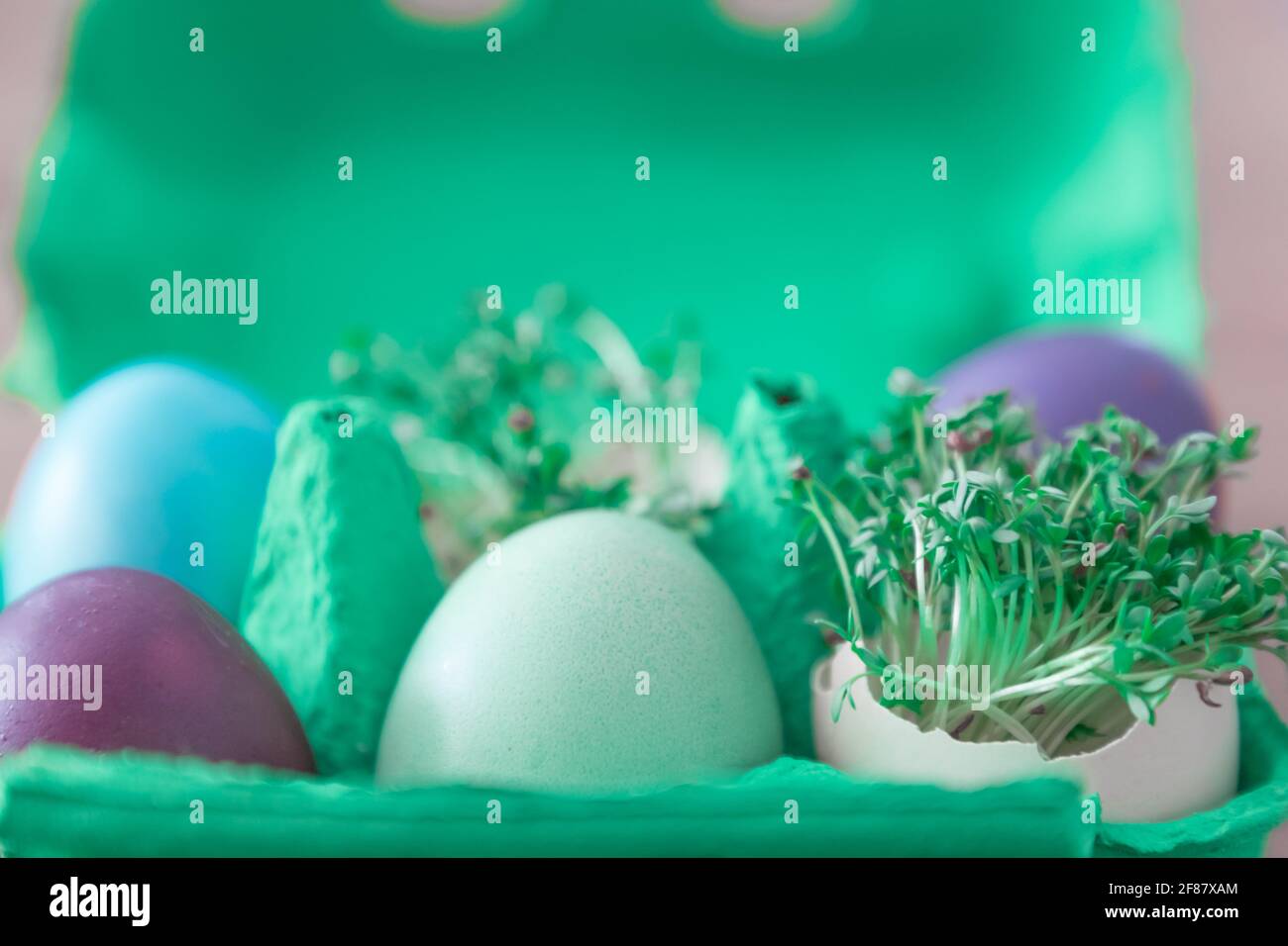 Decorative handmade easter egg present box with eggs and cress ...