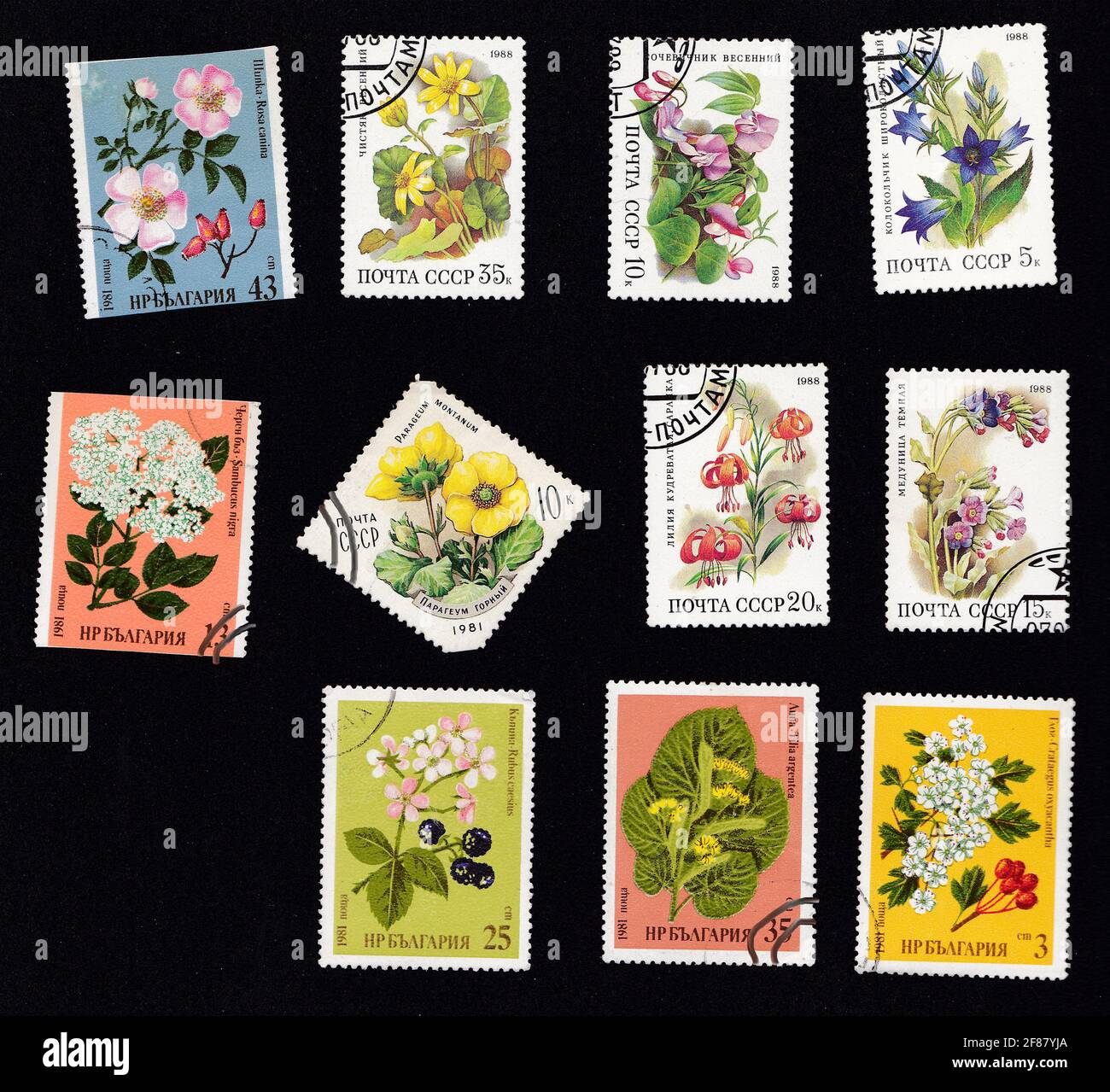 Paper vintage postage botany hi-res stock photography and images - Alamy