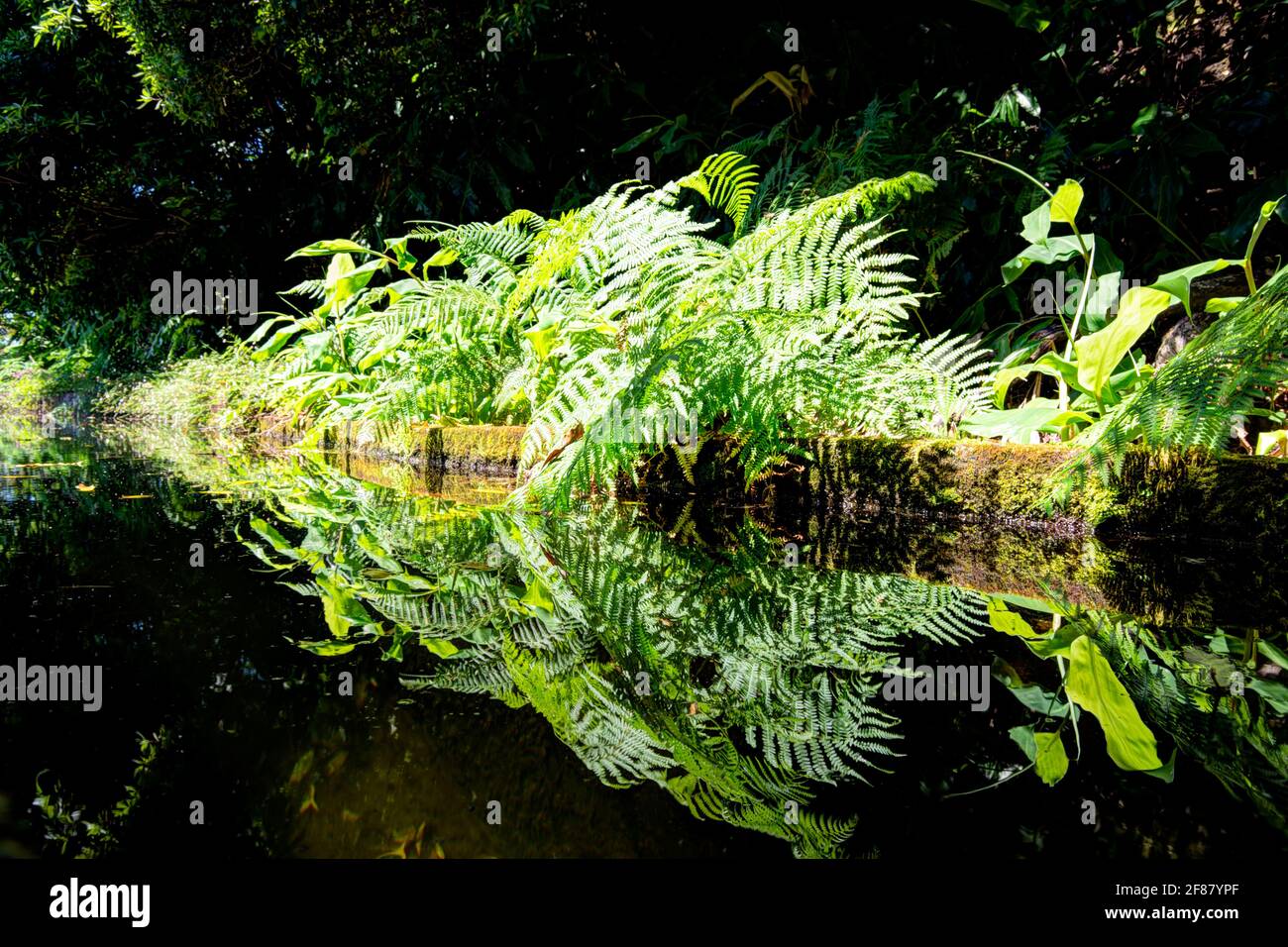 Furns hi-res stock photography and images - Alamy