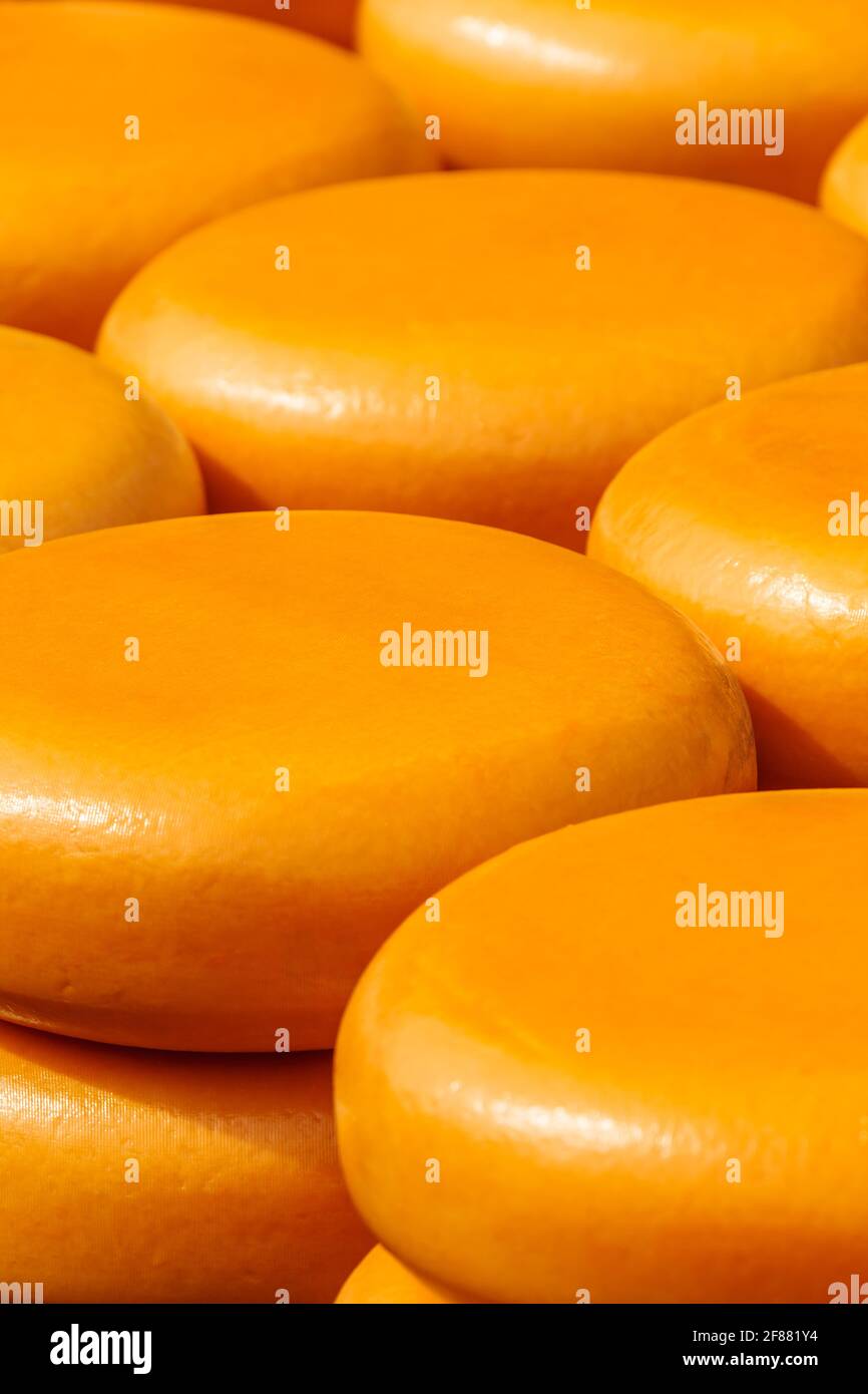 Piles of large round yellow Dutch cheese on a market Stock Photo - Alamy