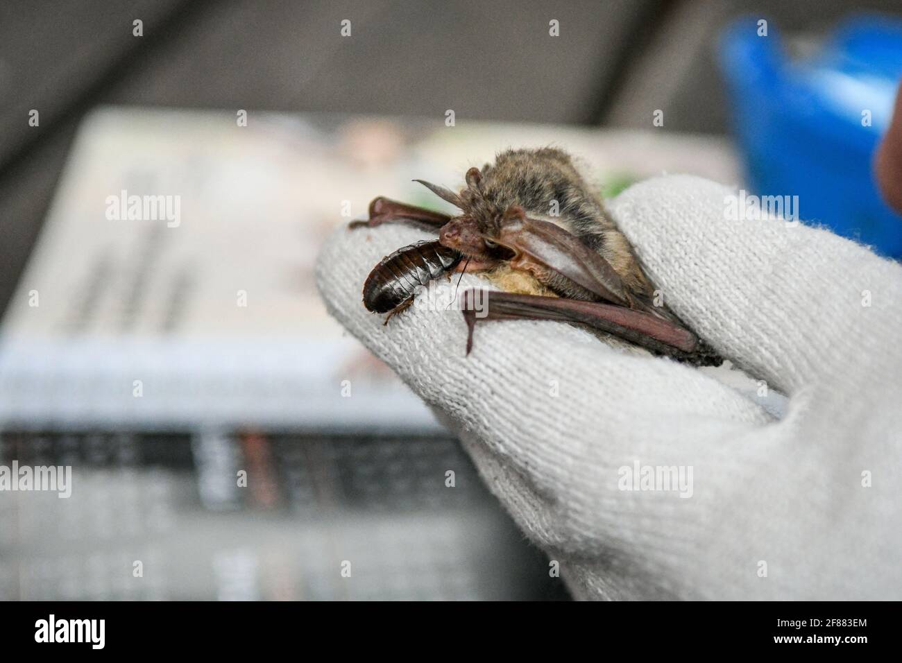 Rele hi-res stock photography and images - Alamy