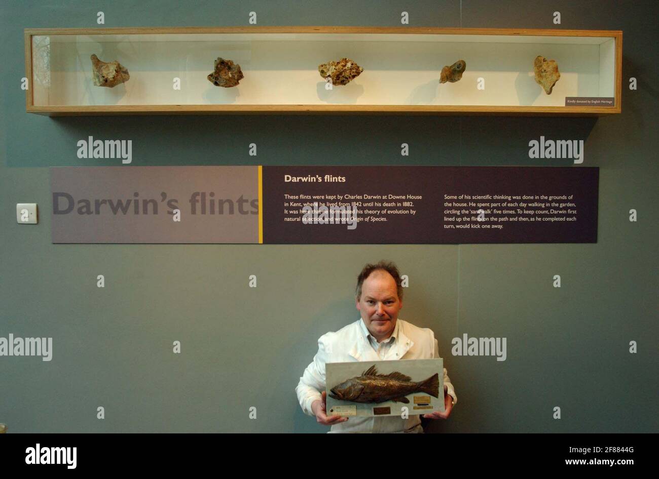 TO MARK THE ANNIVERSARY OF DARWINS BIRTH OLIVER CRIMMEN,FISH CURATOR AT ...