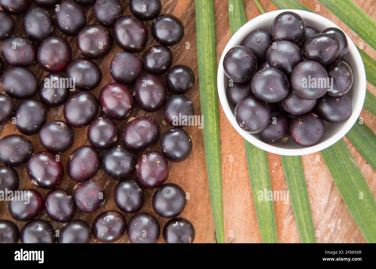 Fresh acai berries - Euterpe oleracea Stock Photo - Alamy