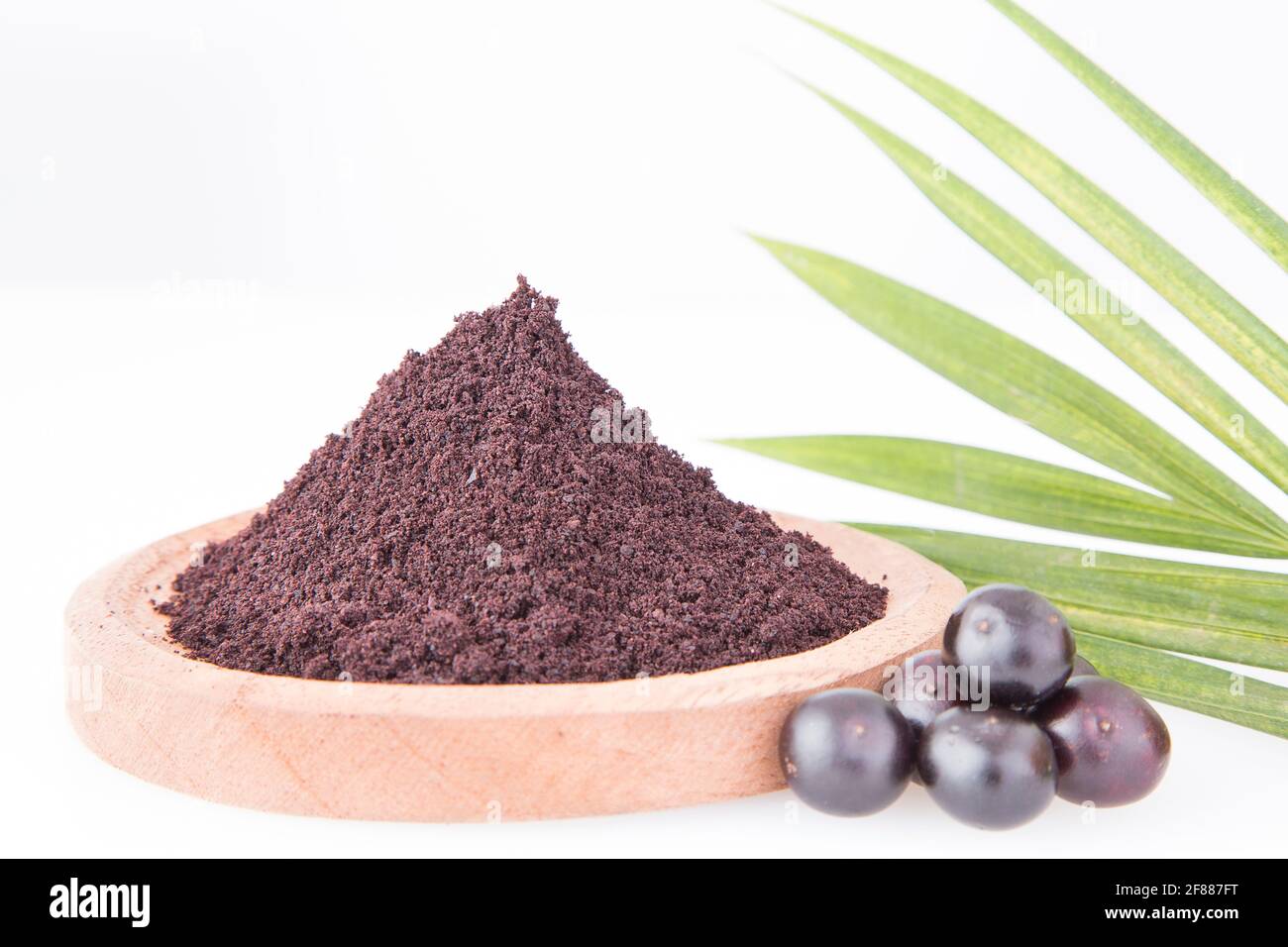 Acai palm tree Cut Out Stock Images & Pictures - Alamy