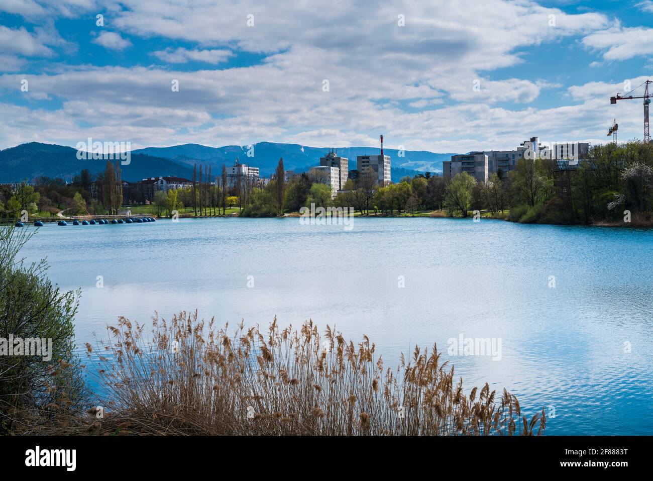 Germany, Freiburg im Breisgau urban park called seepark lake water ...