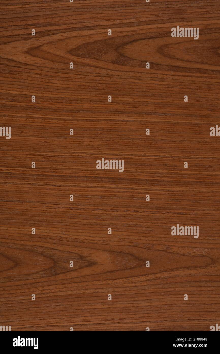 Italian Walnut veneer background in brown color, texture for your ...