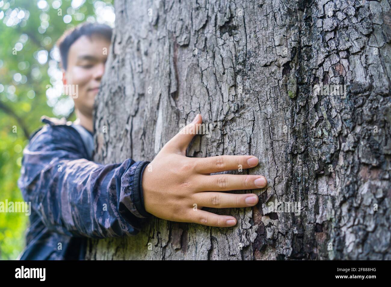 young asian man hugging a large tree with a blissful expression and his ...
