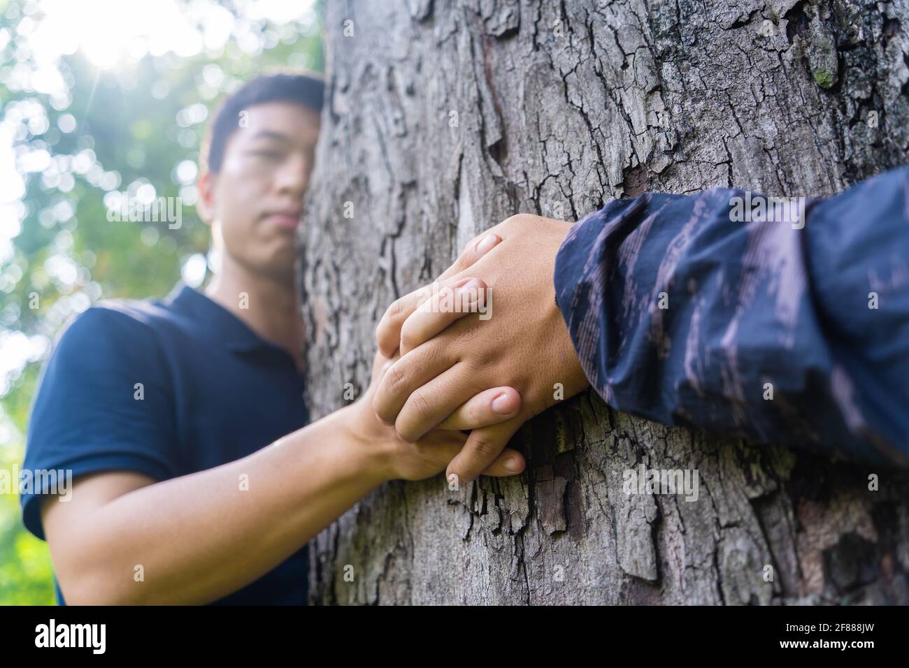 two asian man friends hugging a large tree with a blissful expression ...