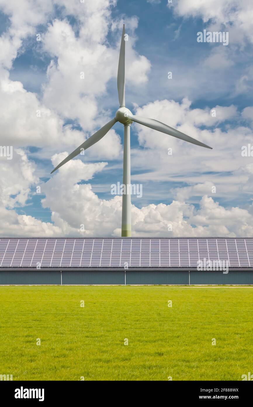 Dutch modern farmhouse with solar panel roof in front of a large wind ...