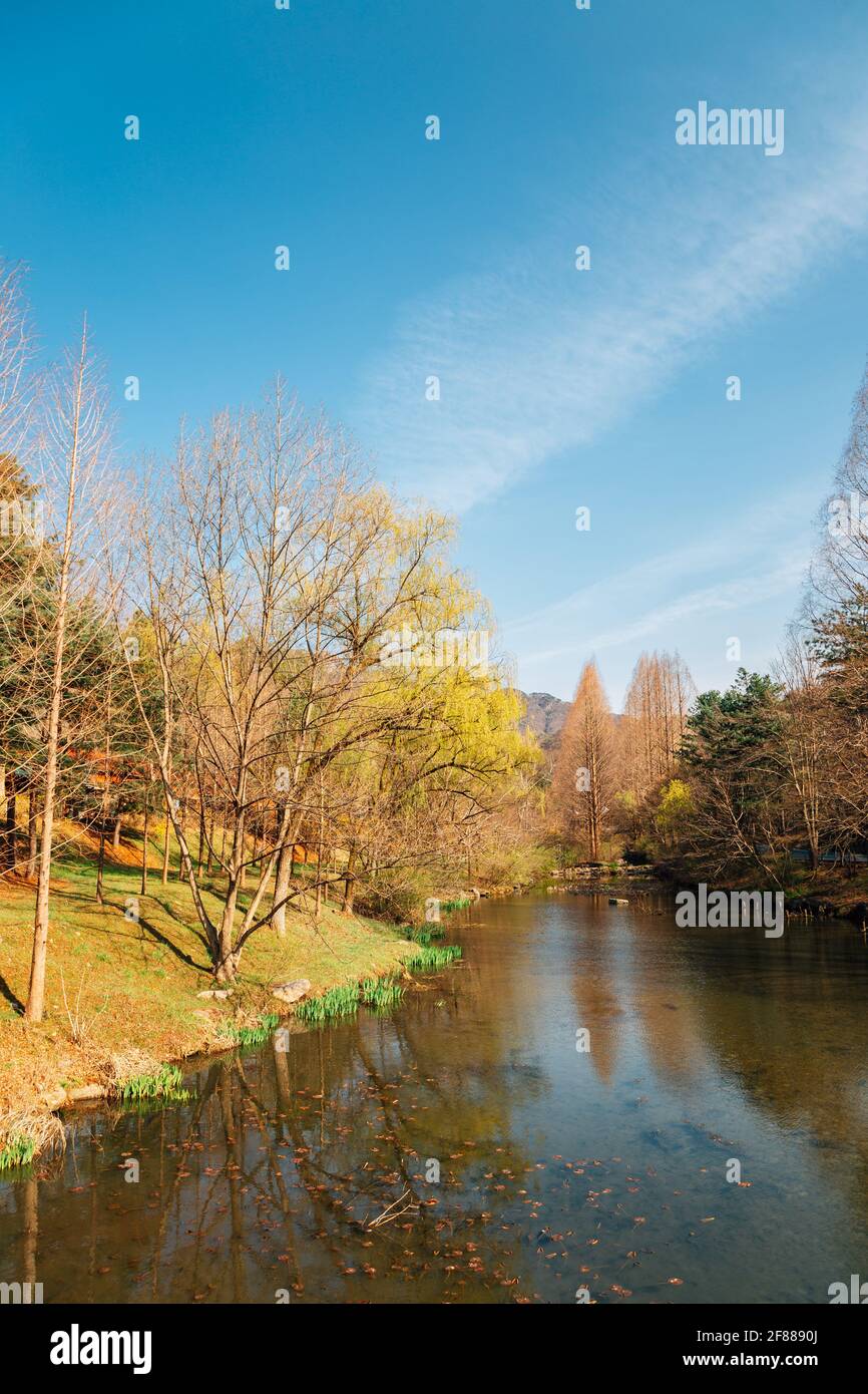 Spring of Seoul grand park in Gwacheon, Korea Stock Photo - Alamy