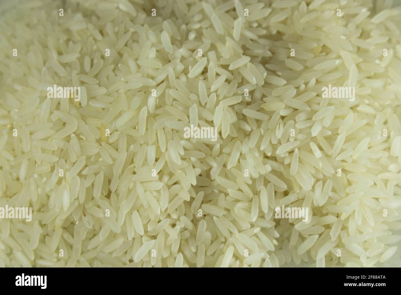 Healthy eating photosrice basic food photosrice cereal photosbrazil hi ...