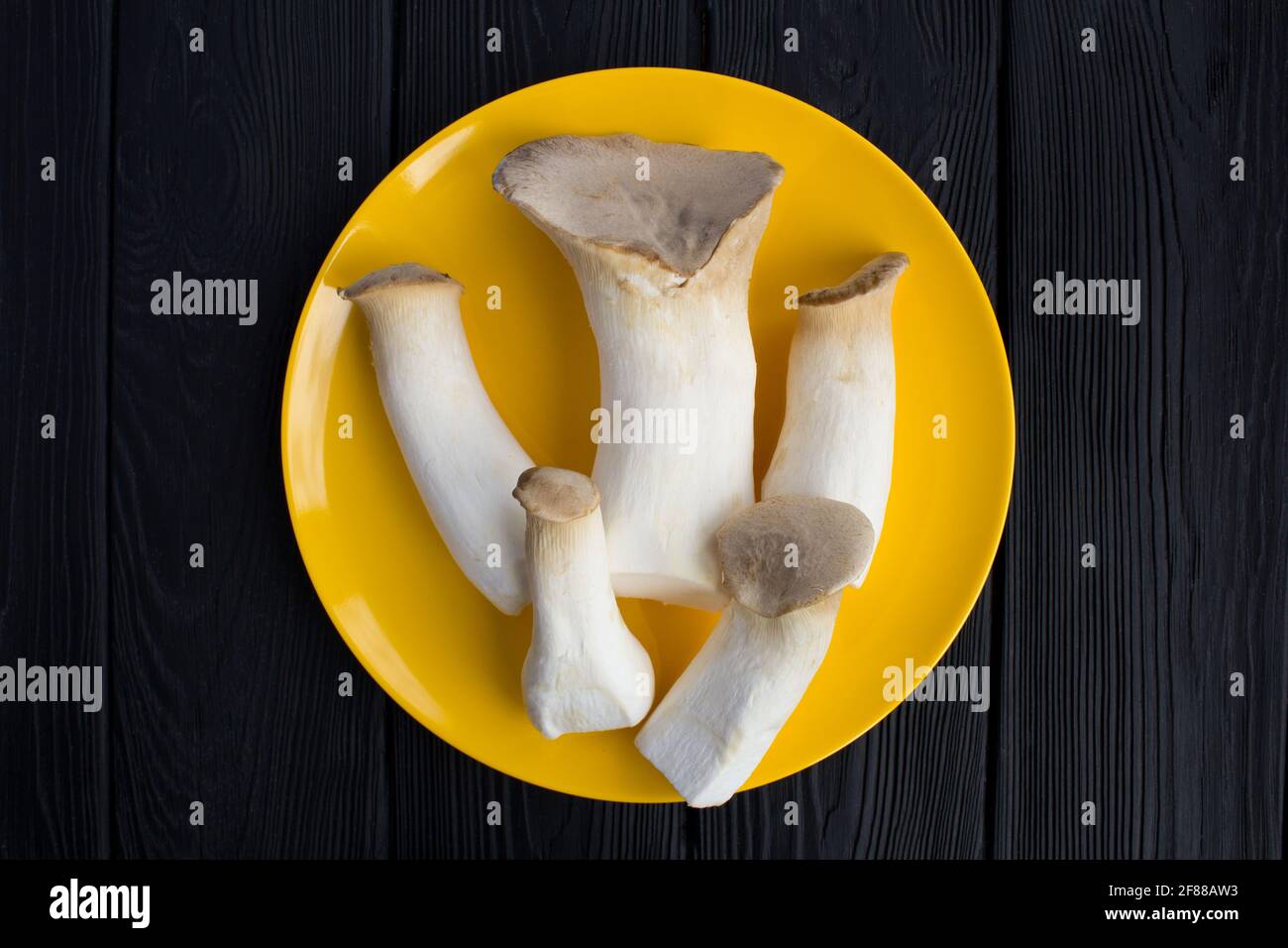 Eringi High Resolution Stock Photography and Images - Alamy