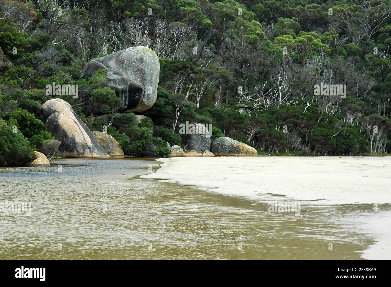 Wilsons promontory tidal river hi-res stock photography and images - Alamy