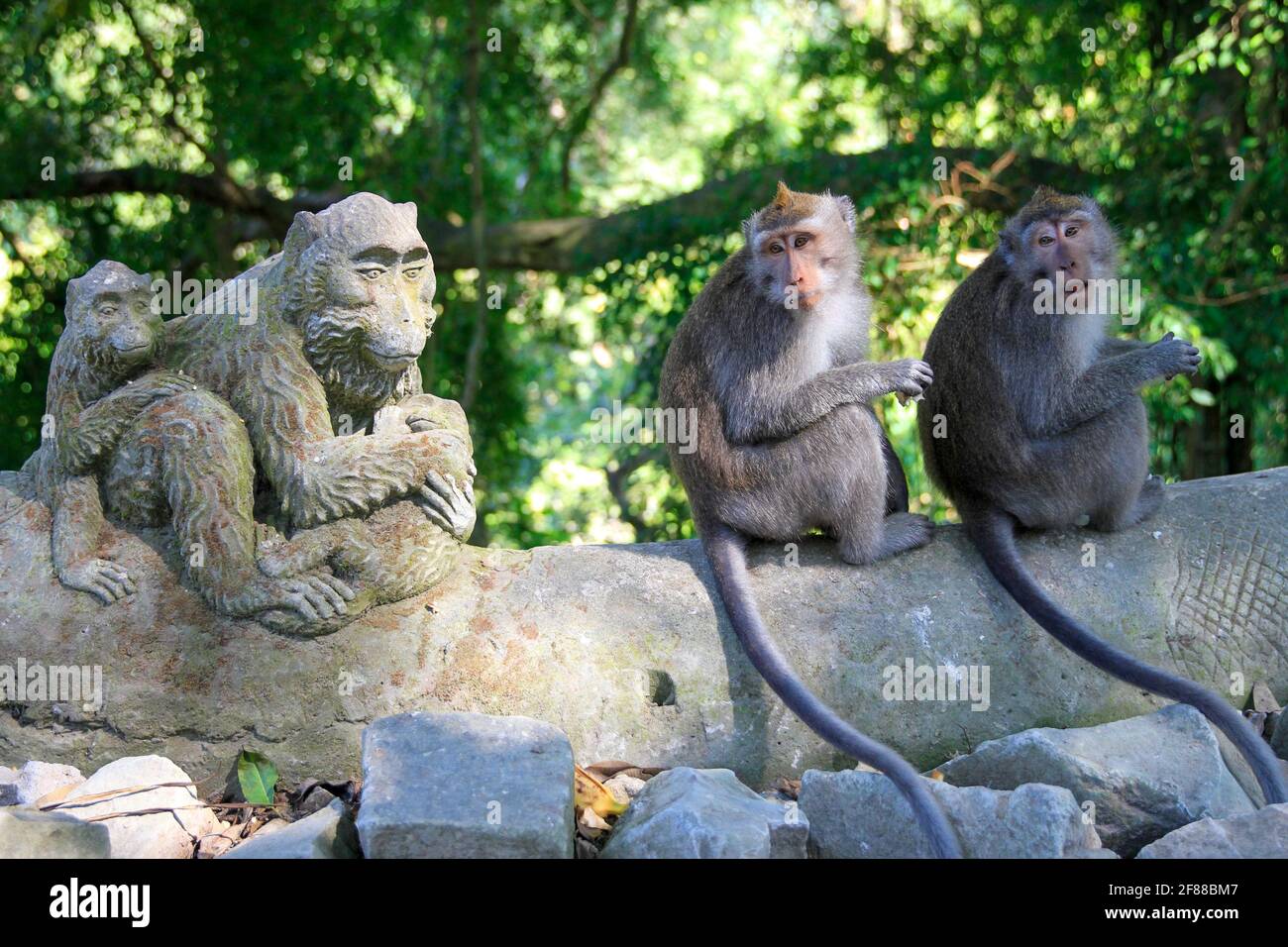 Monkey temple bali indonesia hi-res stock photography and images - Alamy