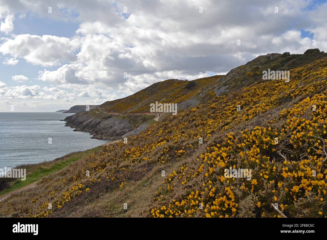 Langland Bay, Snaple Point coastal path, Gower, Wales Stock Photo - Alamy