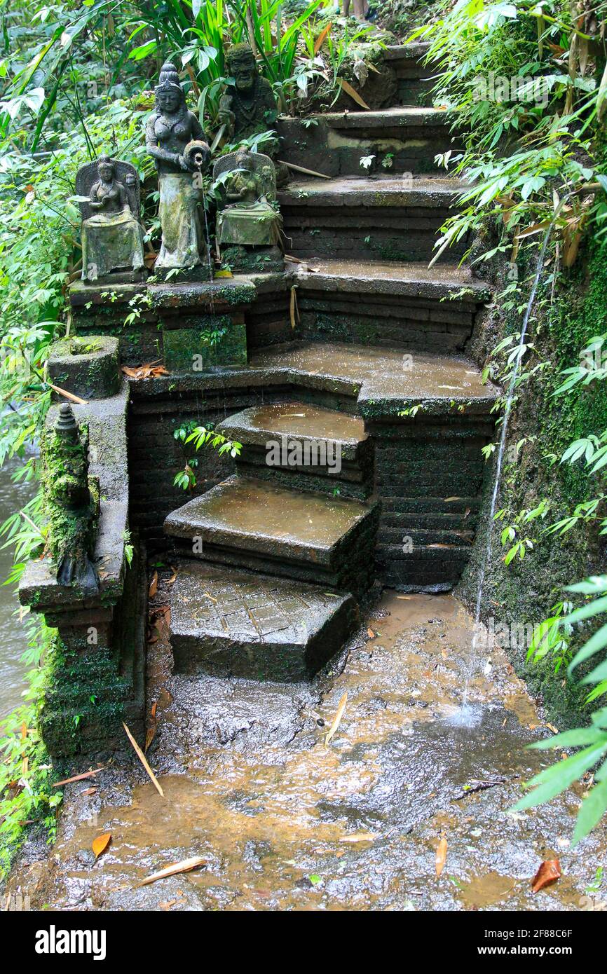 Jungle staircase hi-res stock photography and images - Alamy