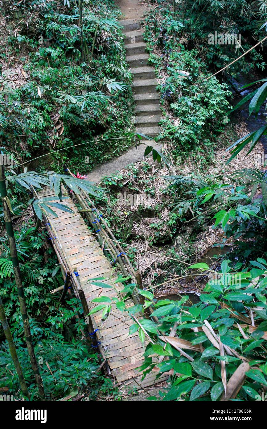 Jungle Bamboo Bridge Stone Stairs Leading To Woven Bamboo Bridge Over