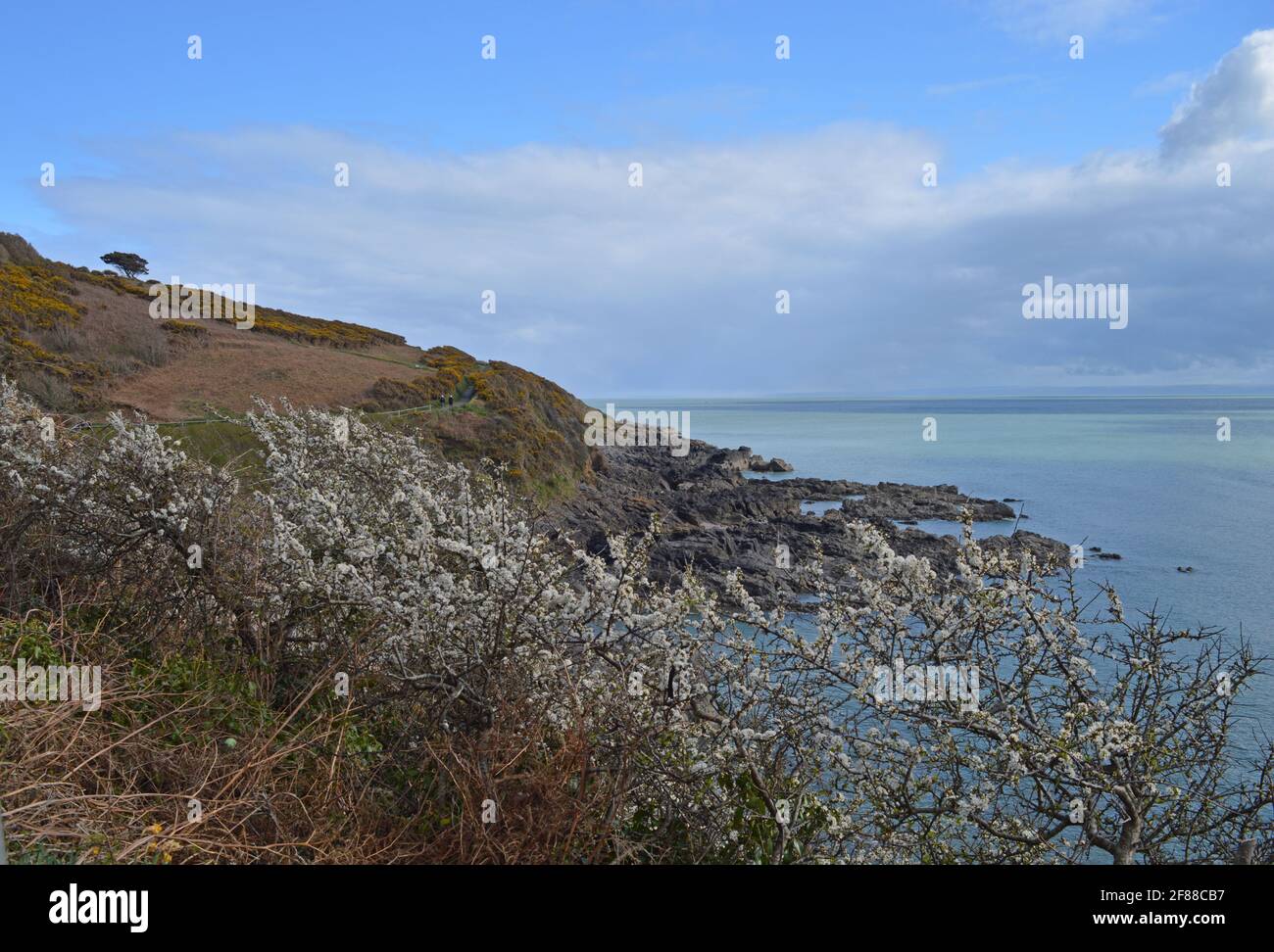 Walkers on coastal path. Rotherslade, Gower Peninsula, Wales Stock ...