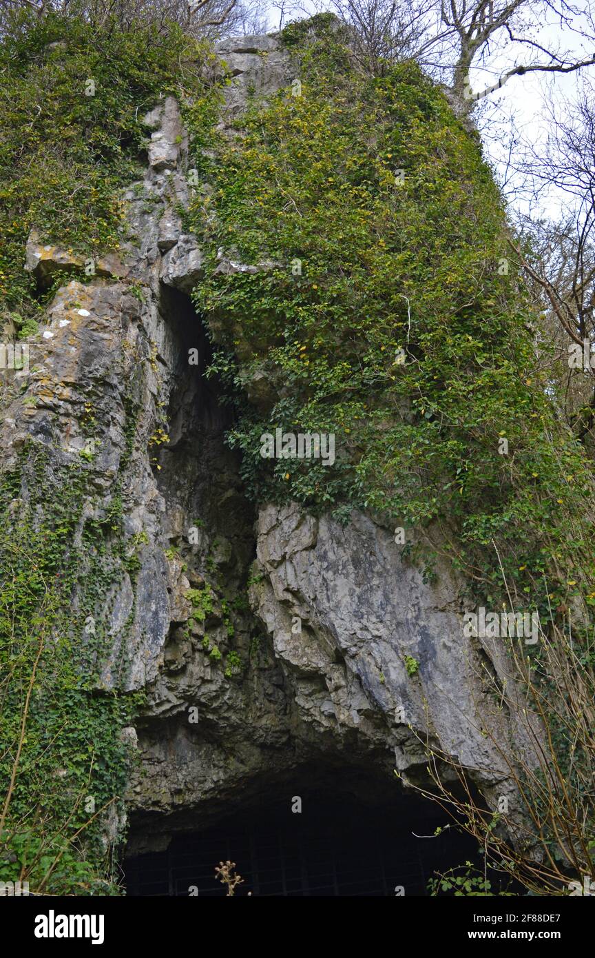 Cathole cave Parc le Breos Gower Wales Stock Photo - Alamy