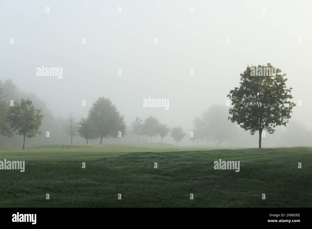 Misty morning parkland hi-res stock photography and images - Alamy