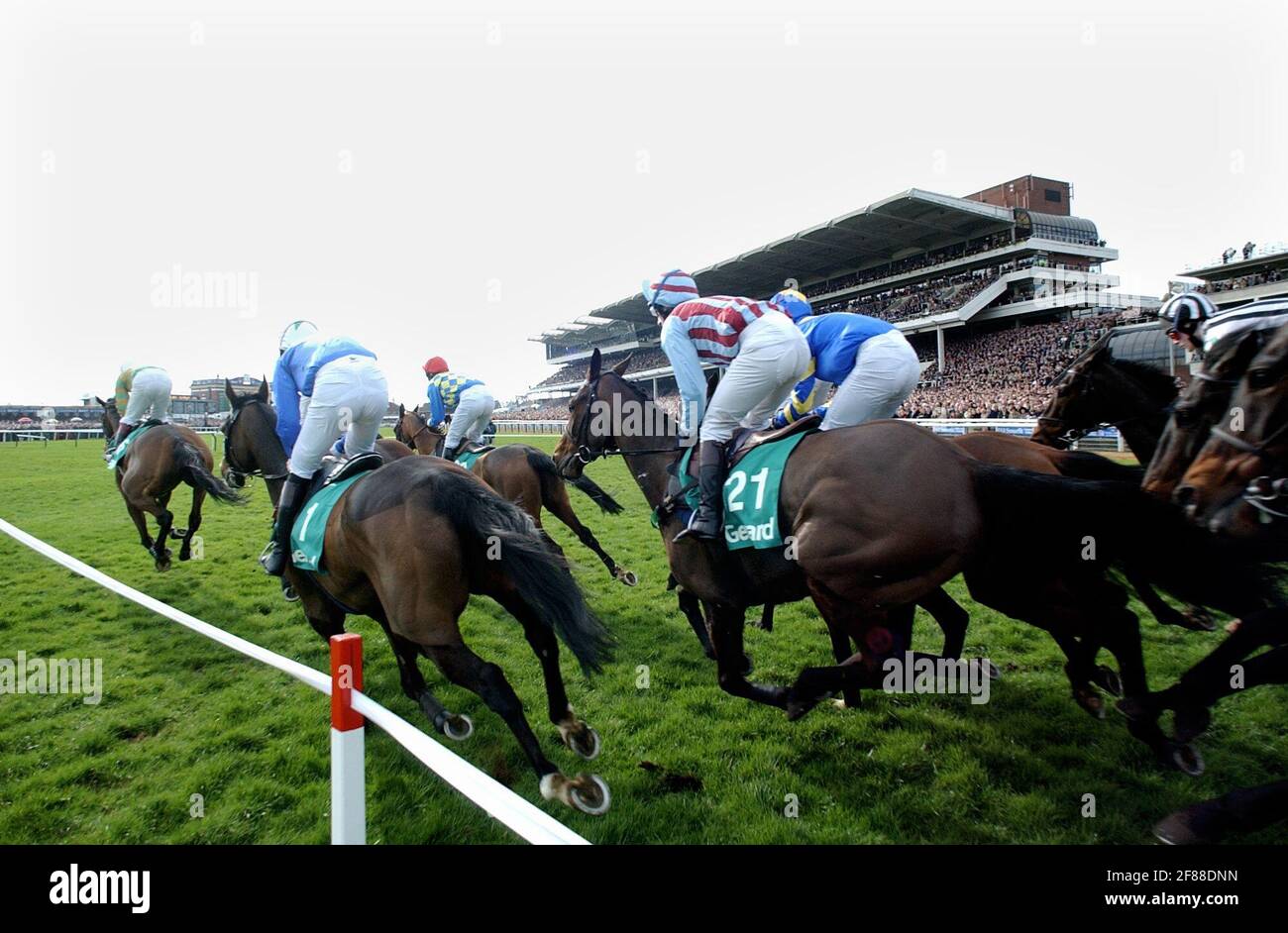 Champion Day High Resolution Stock Photography and Images - Alamy