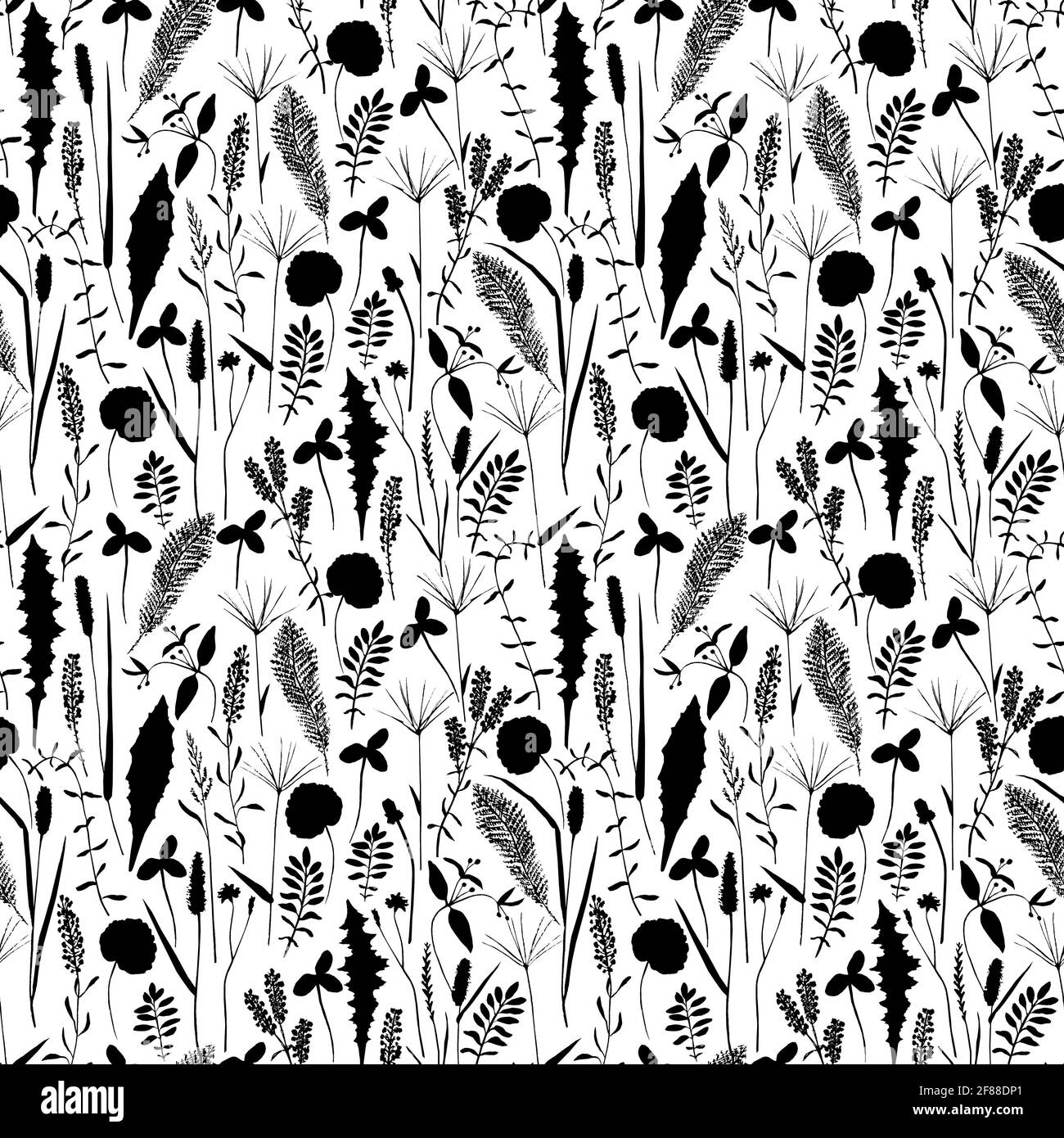 Seamless pattern with wild flowers, herbs, grasses silhouettes. Hand ...