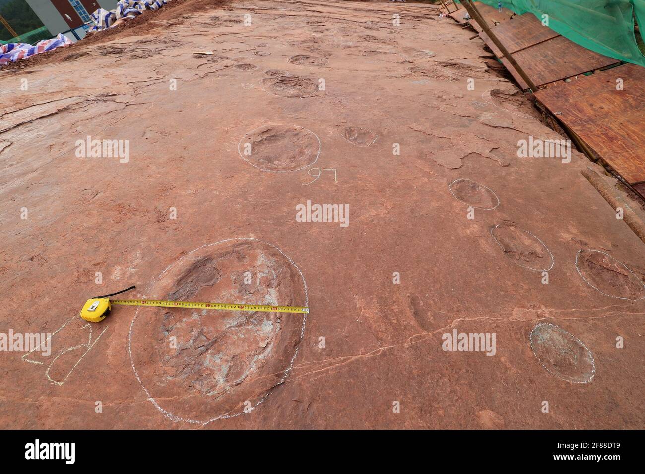 Sauropods hi-res stock photography and images - Alamy