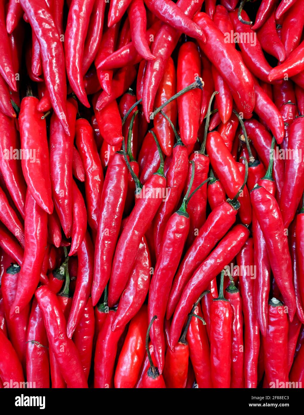 Red Chillies on the market Stock Photo - Alamy