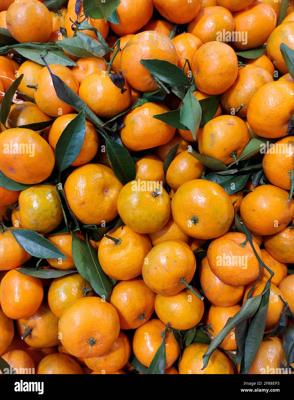 oranges fruit with green leaves - background Stock Photo - Alamy