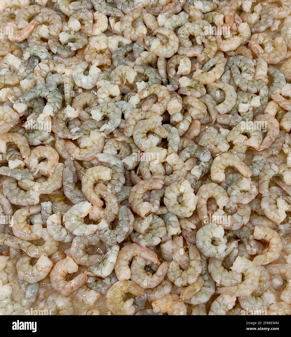 Headless fish hi-res stock photography and images - Alamy