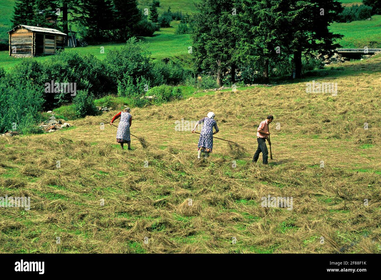 Farmers with the haymaking hi-res stock photography and images - Alamy