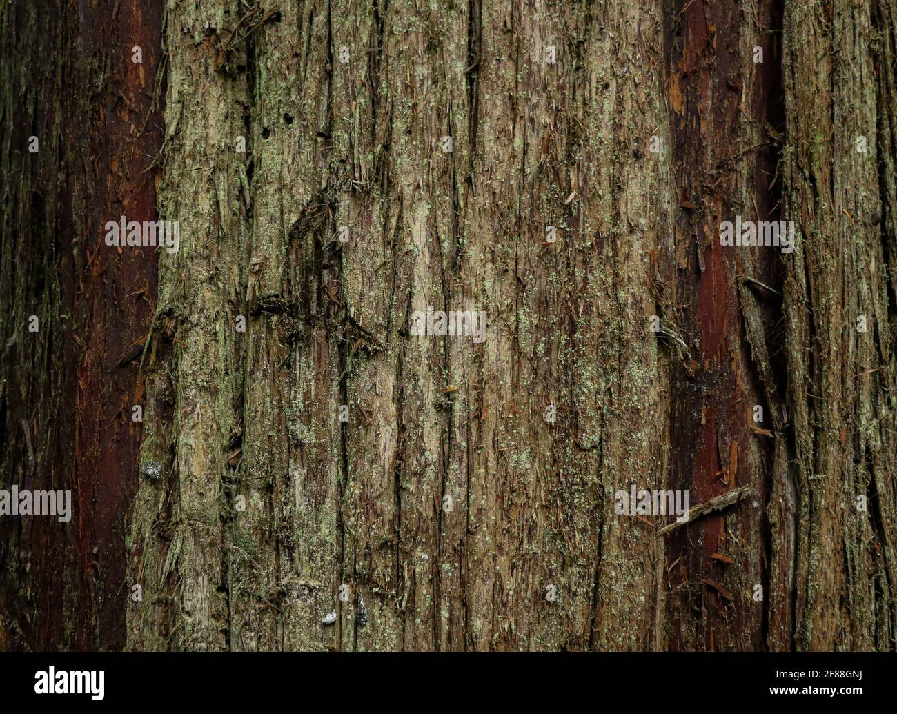 Tunk hi-res stock photography and images - Alamy