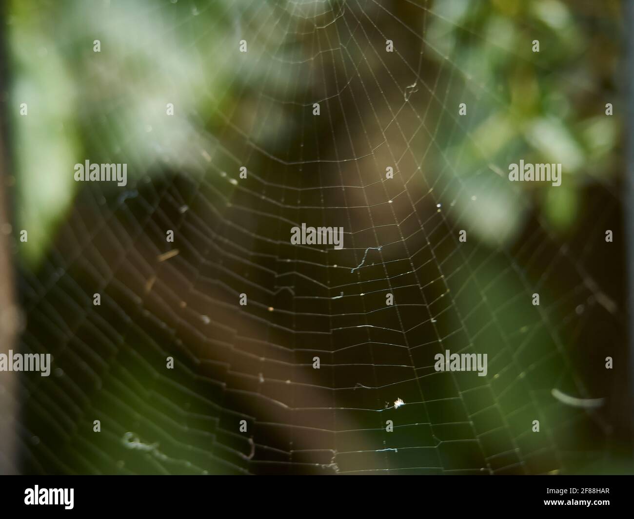 Radial threads hi-res stock photography and images - Alamy